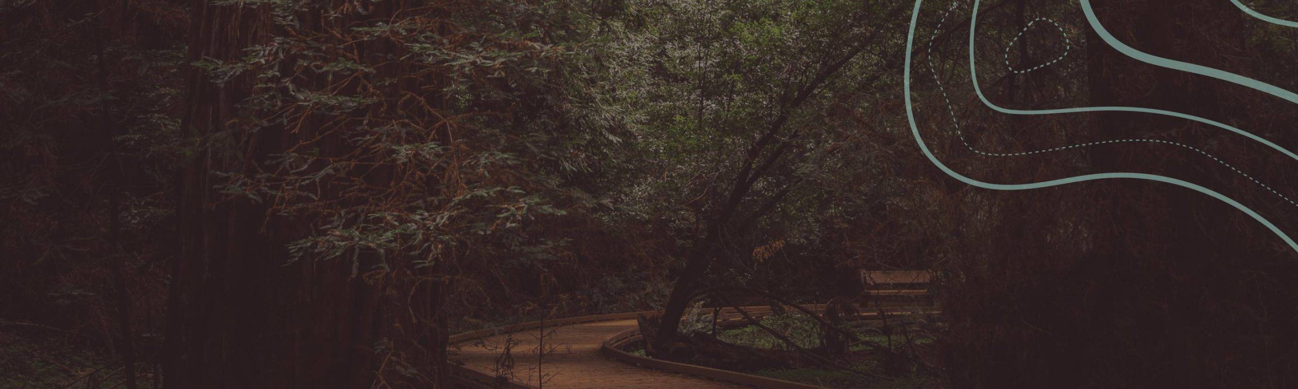 Fiber & Cell Tower Infrastructure | Redwood Infrastructure